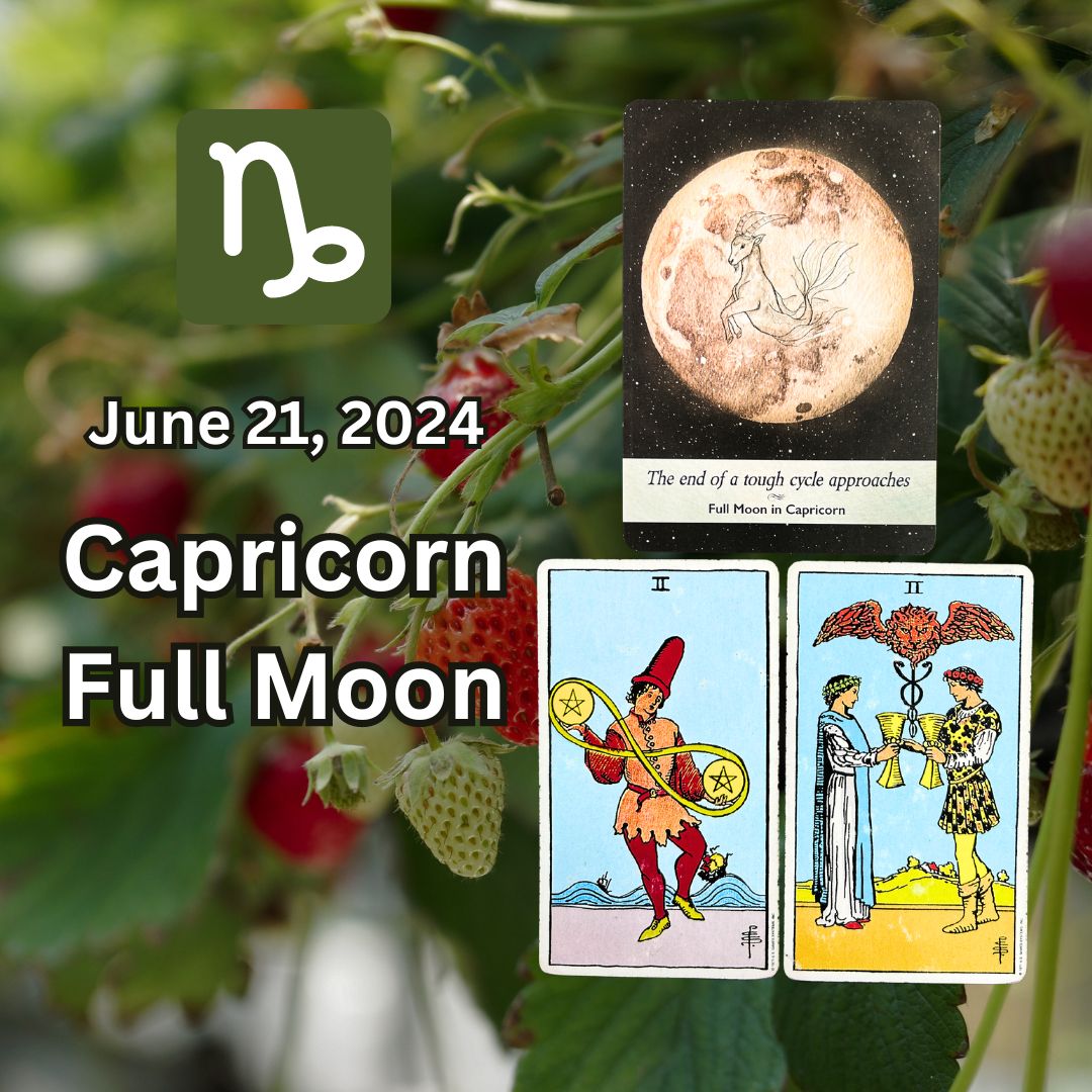 Full Moon in Capricorn 6/21/24 – Fire Moon Alchemy Blog
